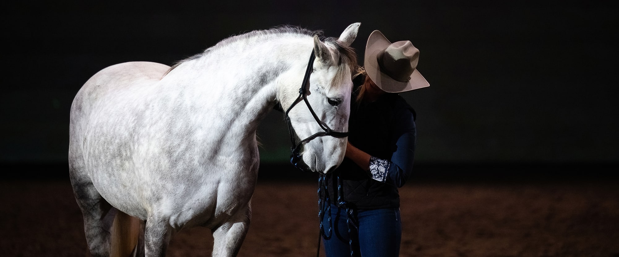 Mastery of the Horse: An Unmissable Equine Experience - EQUITANA Melbourne