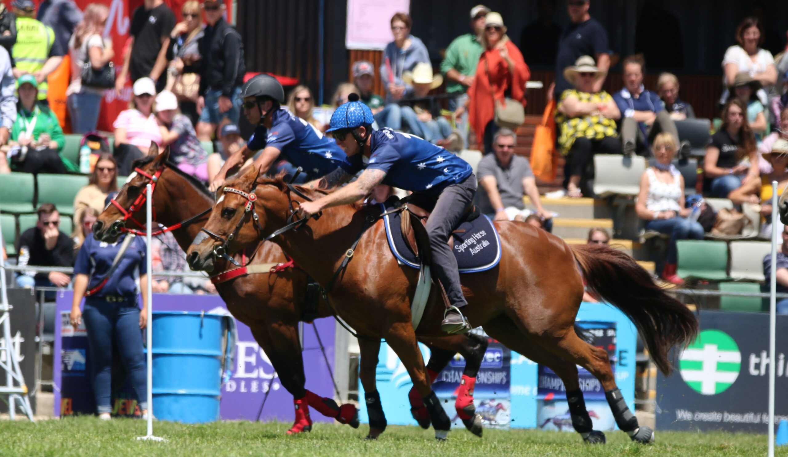 Sporting Horse Championships - EQUITANA Melbourne
