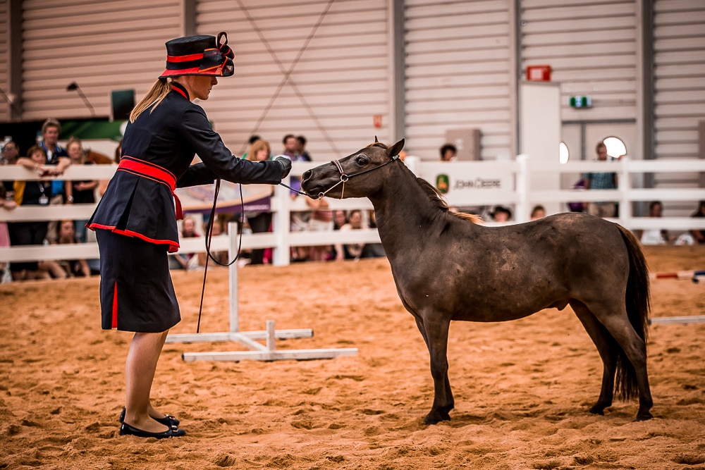 MiniTana - EQUITANA Melbourne