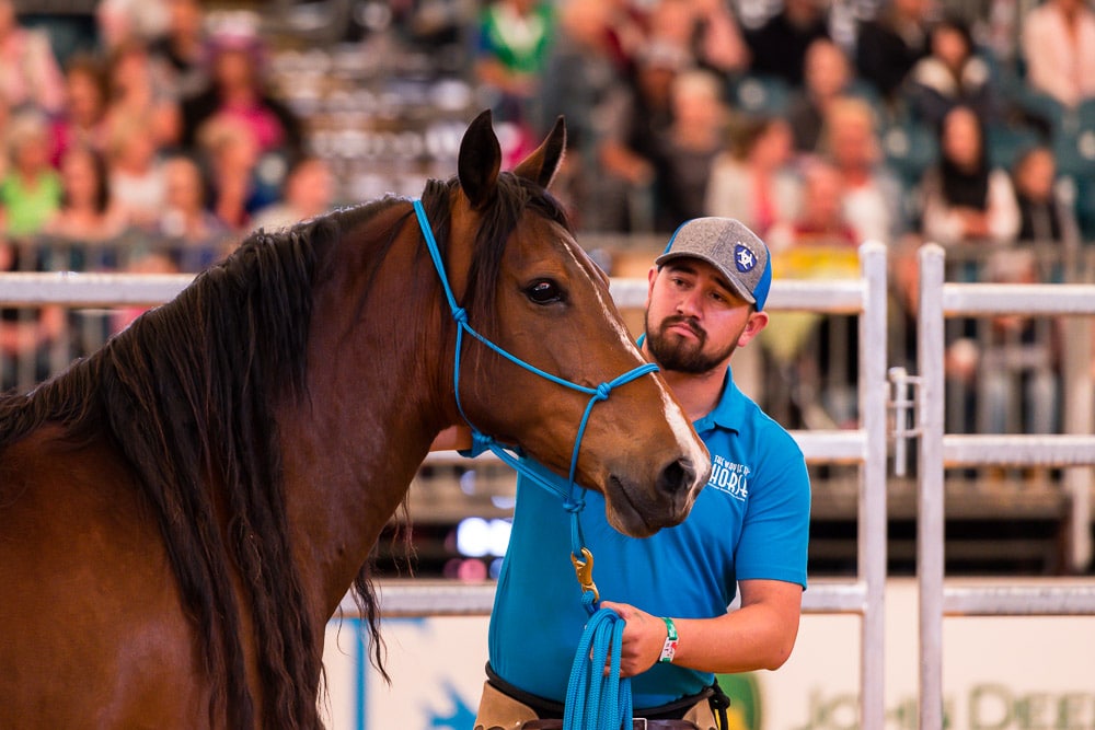 TWOTH 2020 to Light up EQUITANA . . . Again - EQUITANA Melbourne