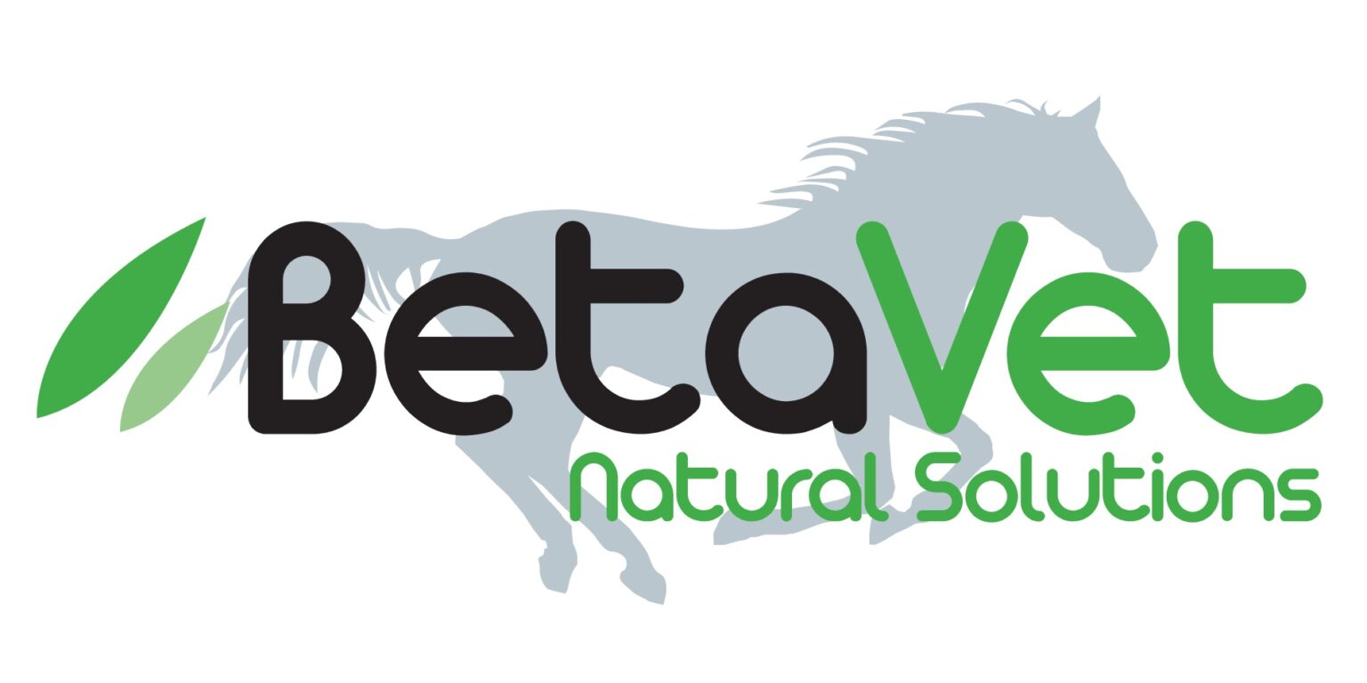 Newmarket Saddlery - EQUITANA Melbourne