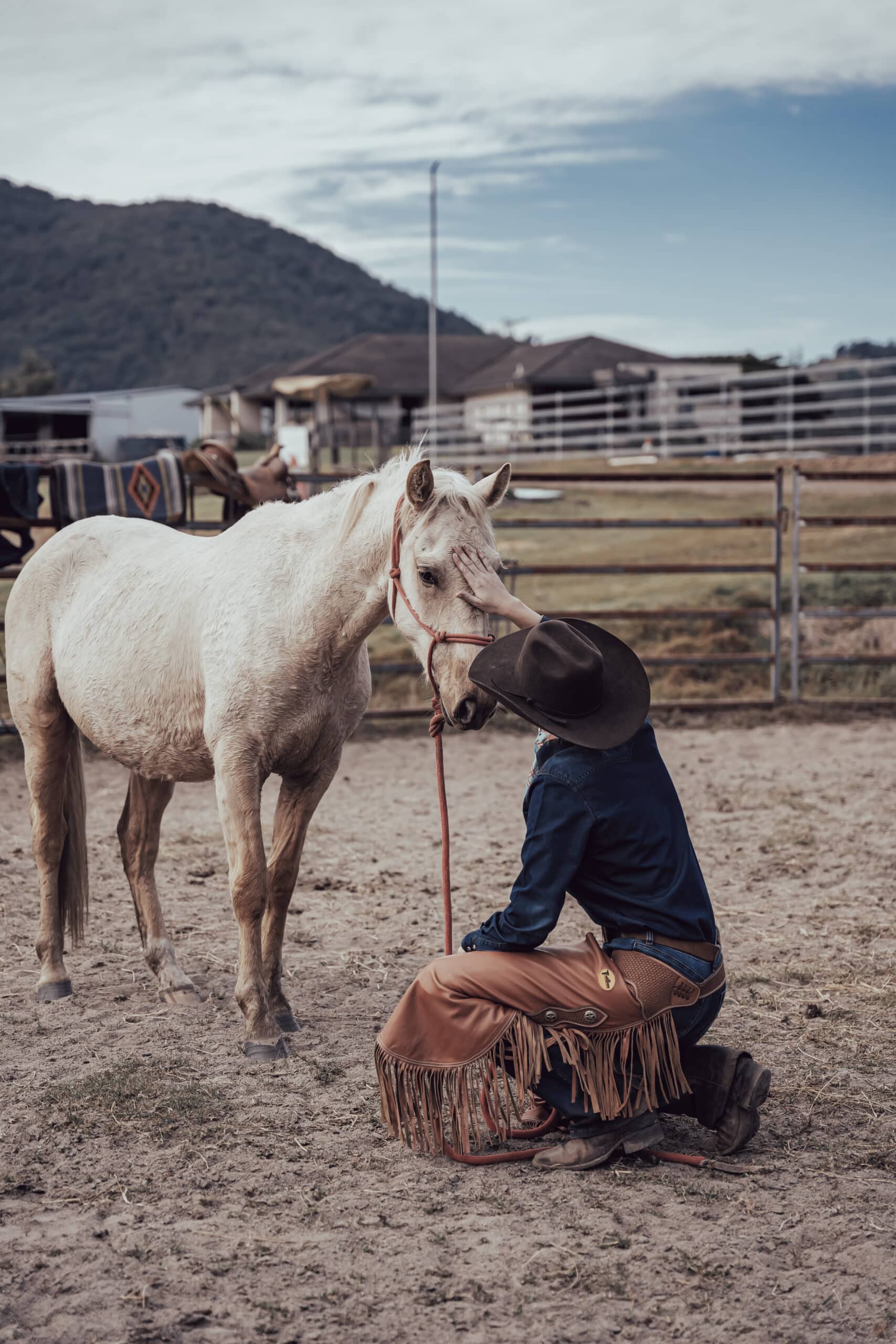 Amber Scriven's Horsemanship Style: A Partnership Approach - EQUITANA ...