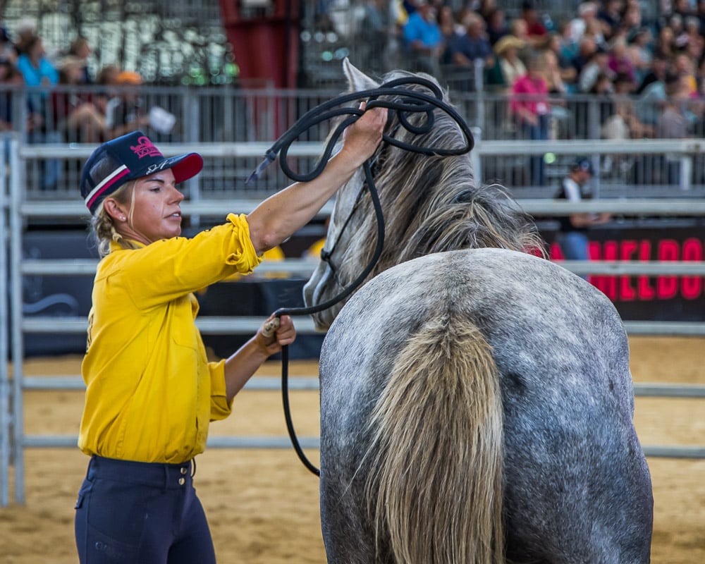 Where Are They Now - Skye & Maya (Part 1) - EQUITANA Melbourne