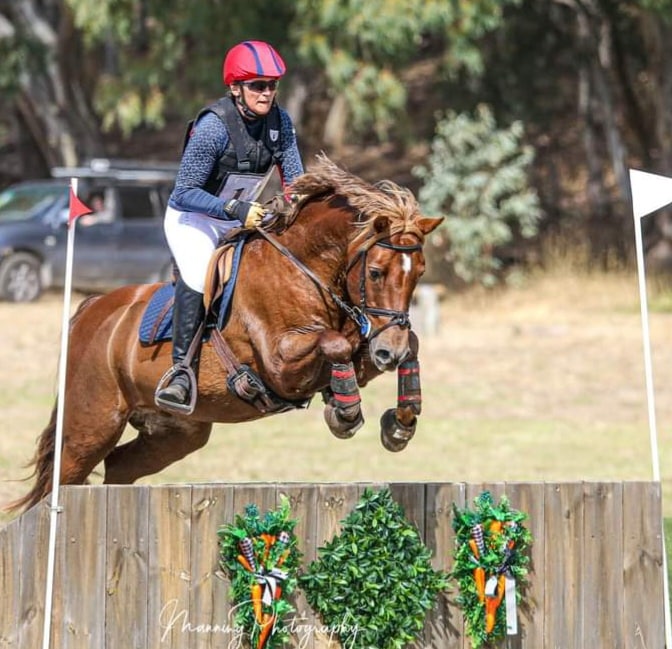 Performance Pony Challenge - EQUITANA Melbourne
