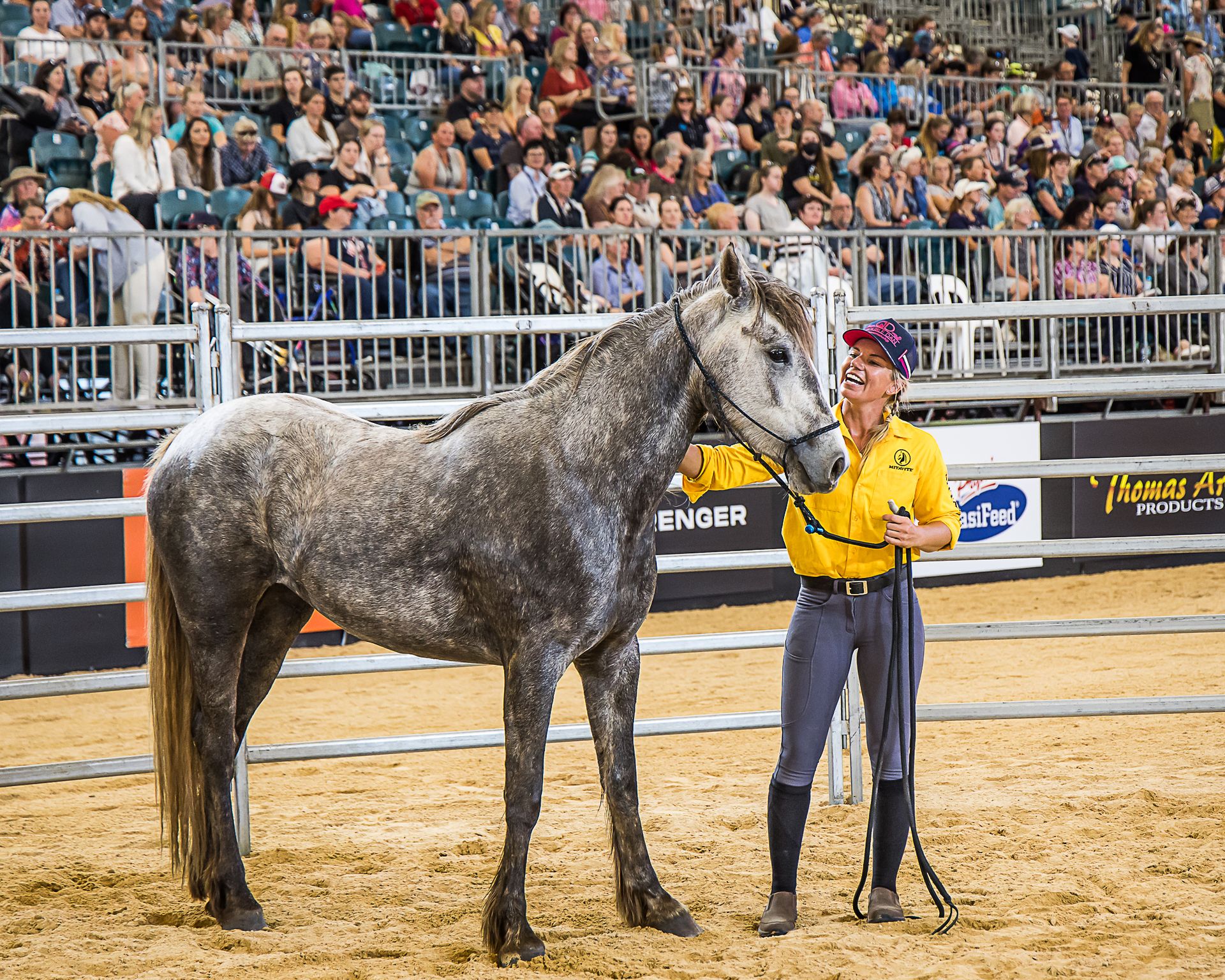 Thousands Flock to Opening Day of EQUITANA Melbourne - EQUITANA Melbourne