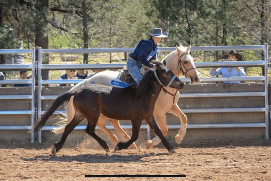 Meet Mitavite TWOTH Competitor Hayley Hinton - EQUITANA Melbourne