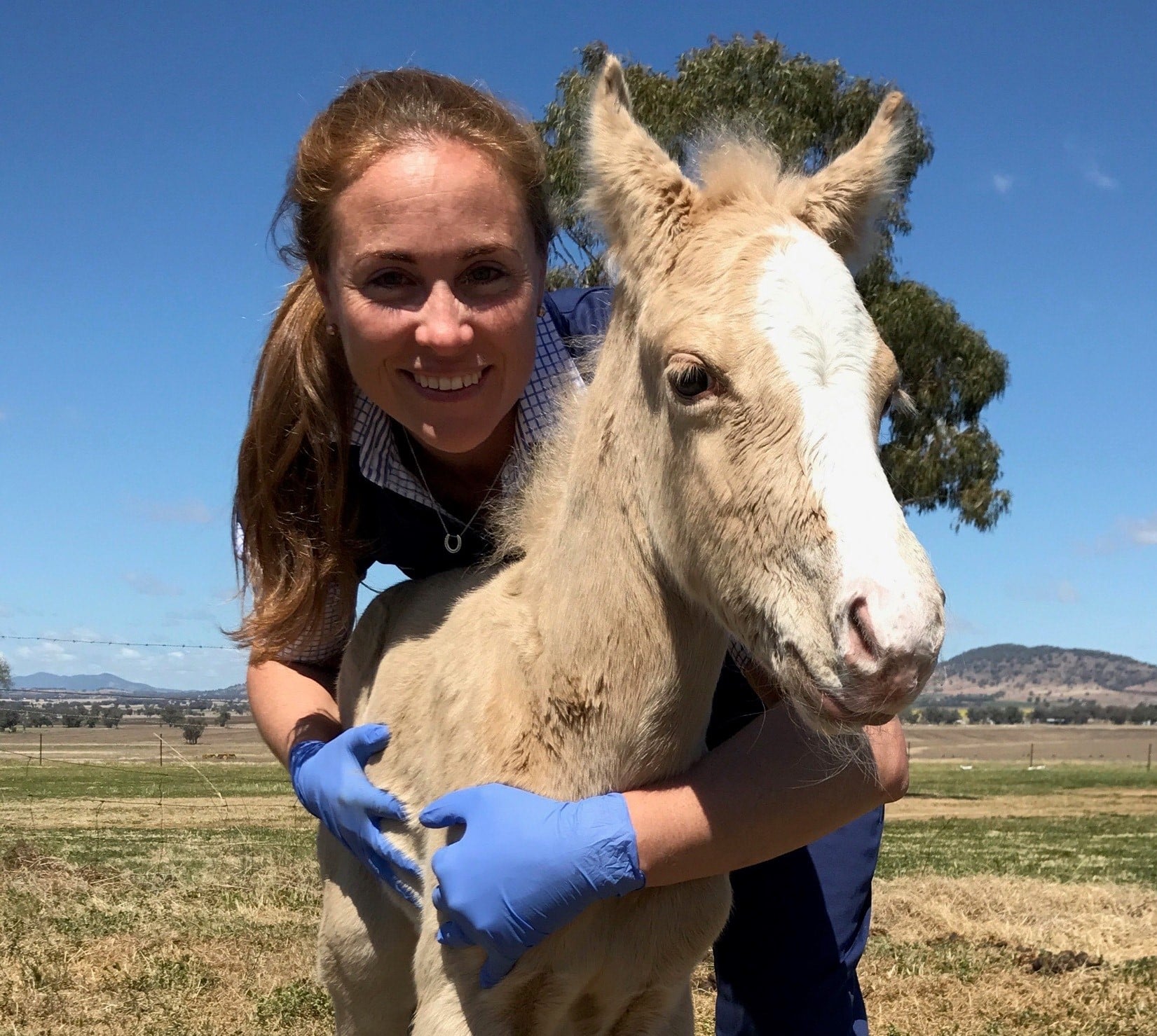 Dr Jennifer Clulow - EQUITANA Melbourne