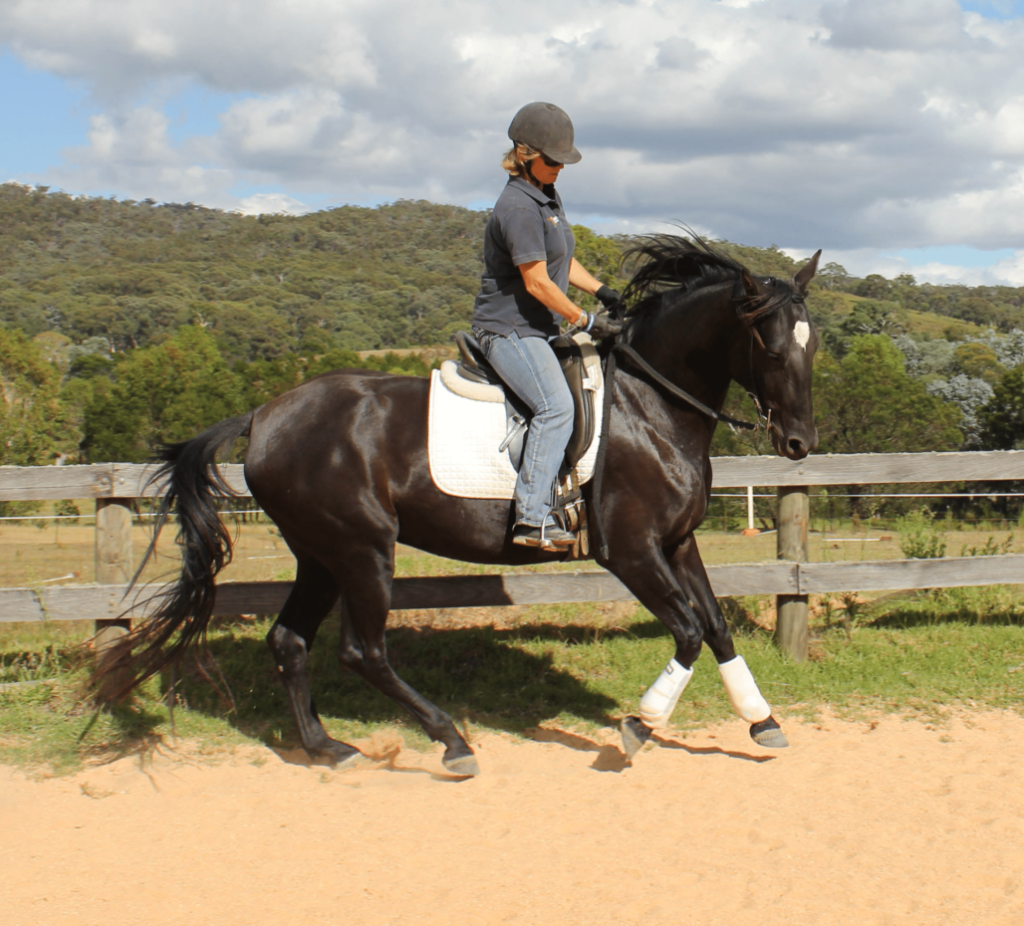 Dr Kate Fenner - EQUITANA Melbourne