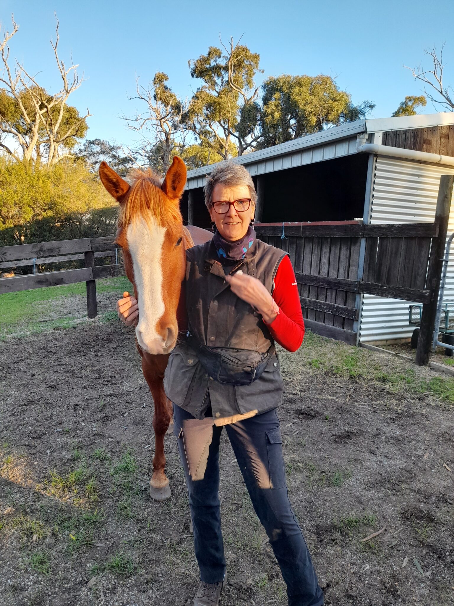 Dr Jennifer Clulow - EQUITANA Melbourne