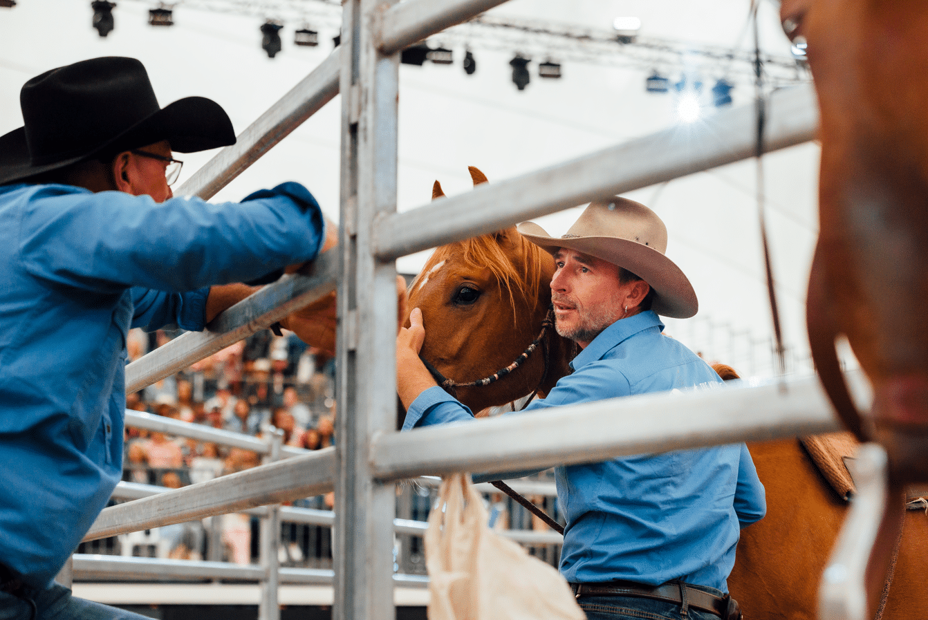 Captivating Third Day of TWOTH - EQUITANA Melbourne