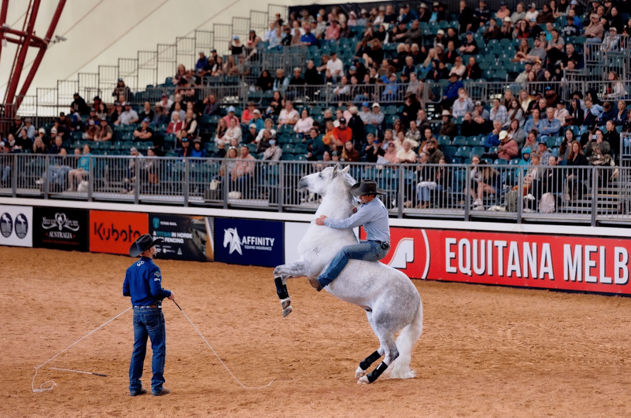 Madness and Mayhem amongst Double Dan Masterclass - EQUITANA Melbourne