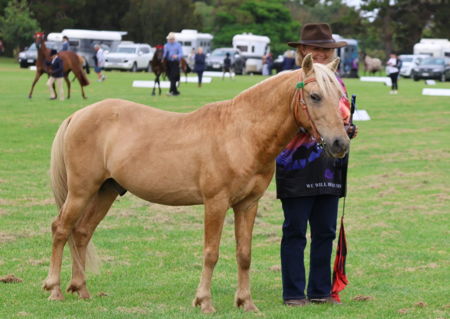 Australian Quarter Horse - EQUITANA Melbourne