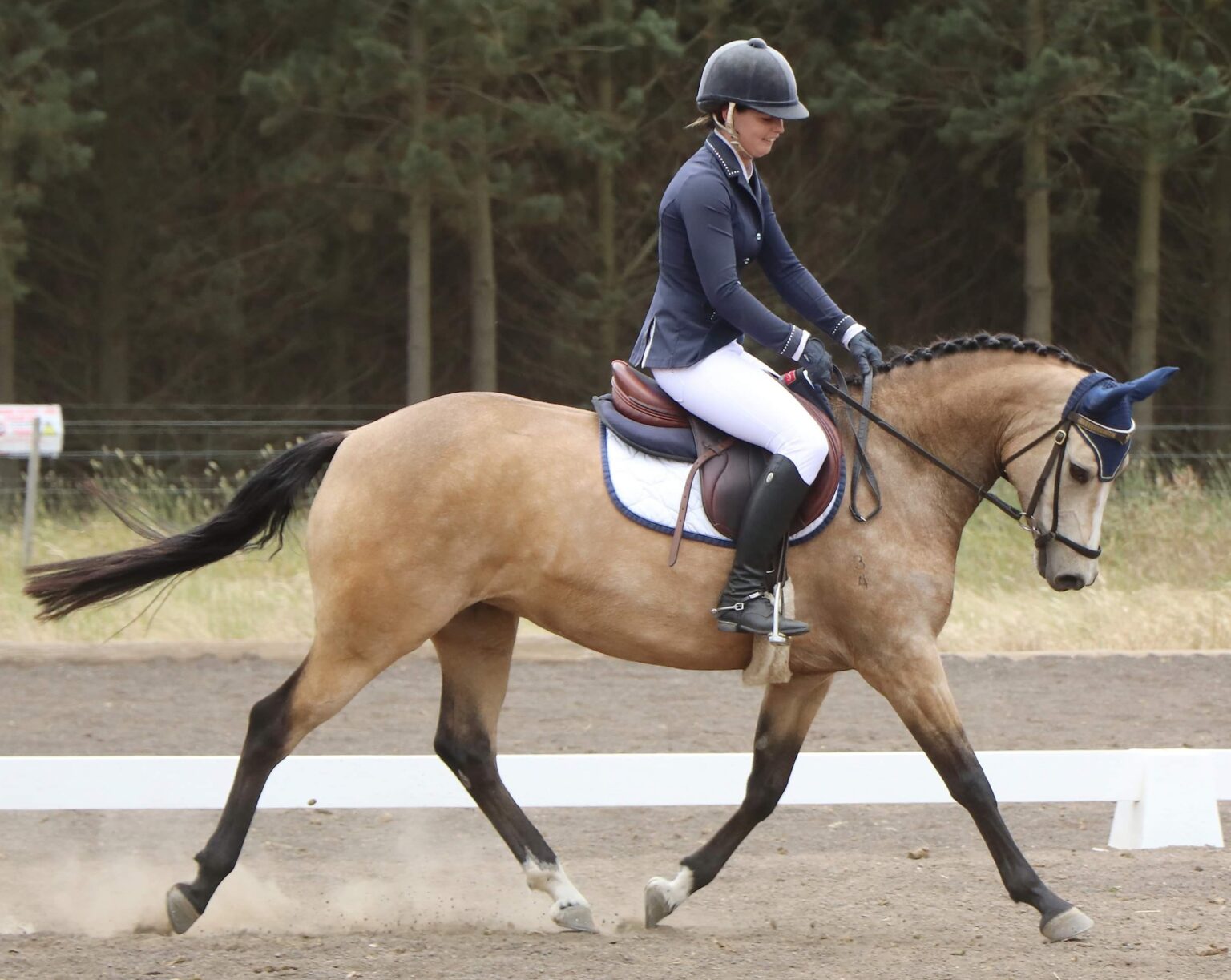 Performance Pony Challenge - EQUITANA Melbourne